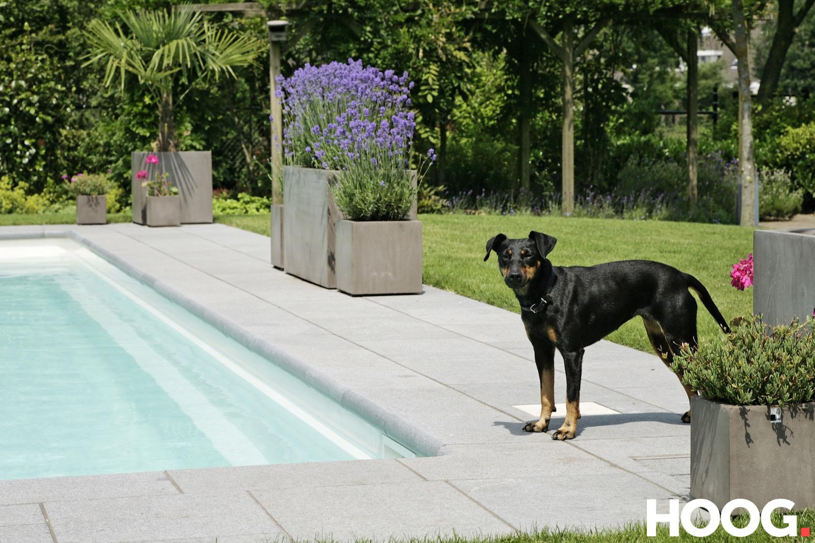 Design swimming pool Essential