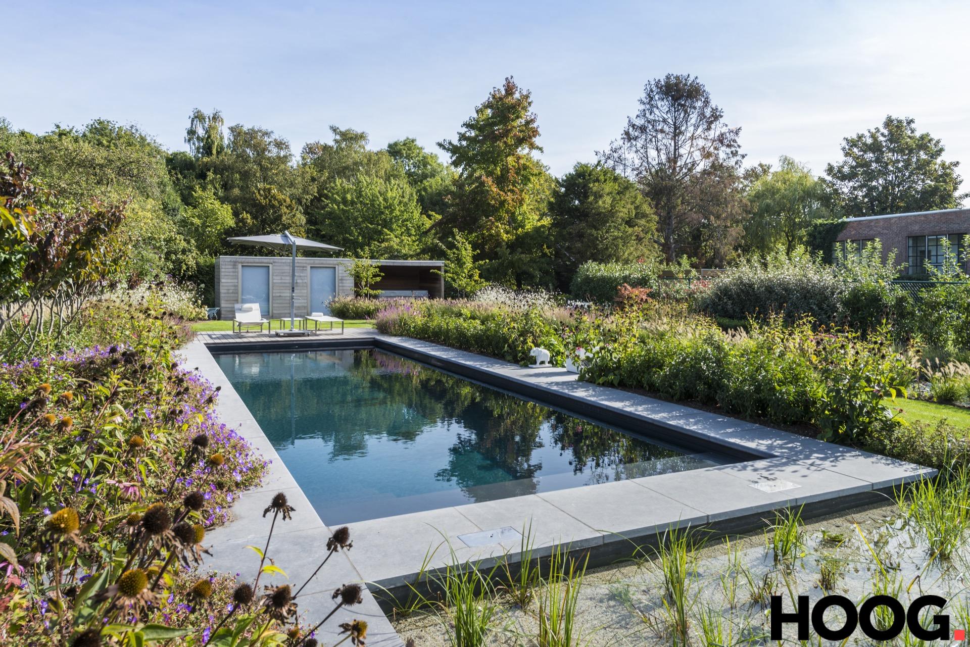 Starline pool with the looks of a swimming pond
